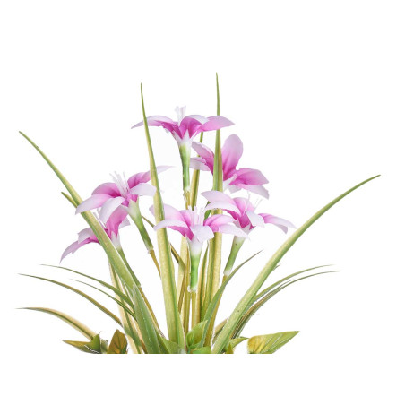 PIANTA FIORE APERTO PICC. VASO METAL ASS 4