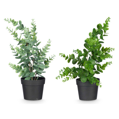 MATTE GLOSS POT ROUND LEAF PLANT ASSORTED 4 COL
